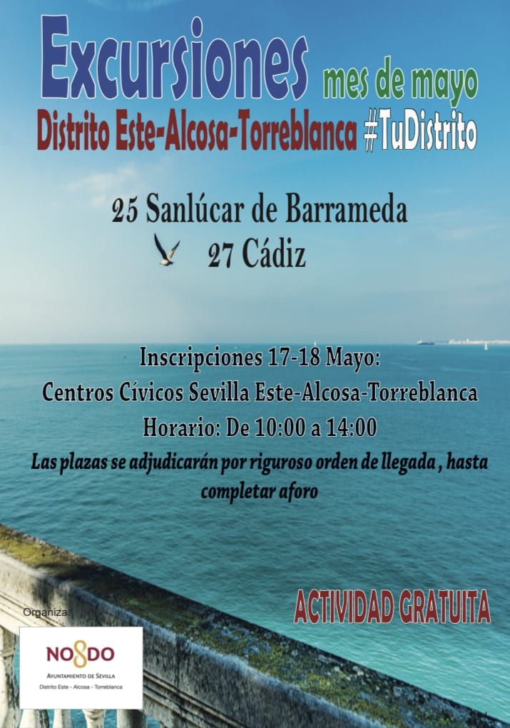 Excursiones gratuitas a la playa del Distrito Este-Alcosa-Torreblanca — Actualidad