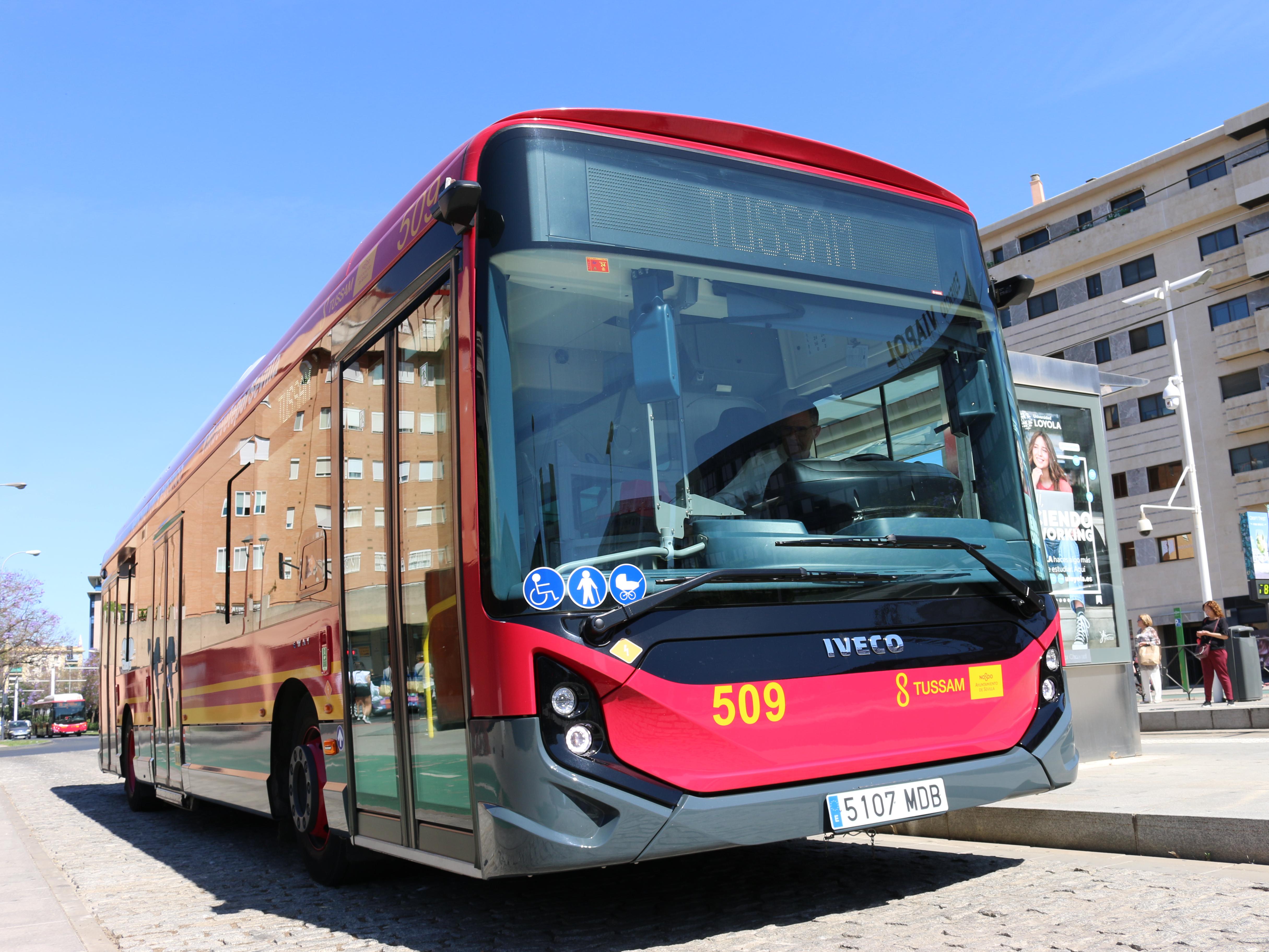 El Ayuntamiento diseña un dispositivo especial de Tussam y Lipasam para ...