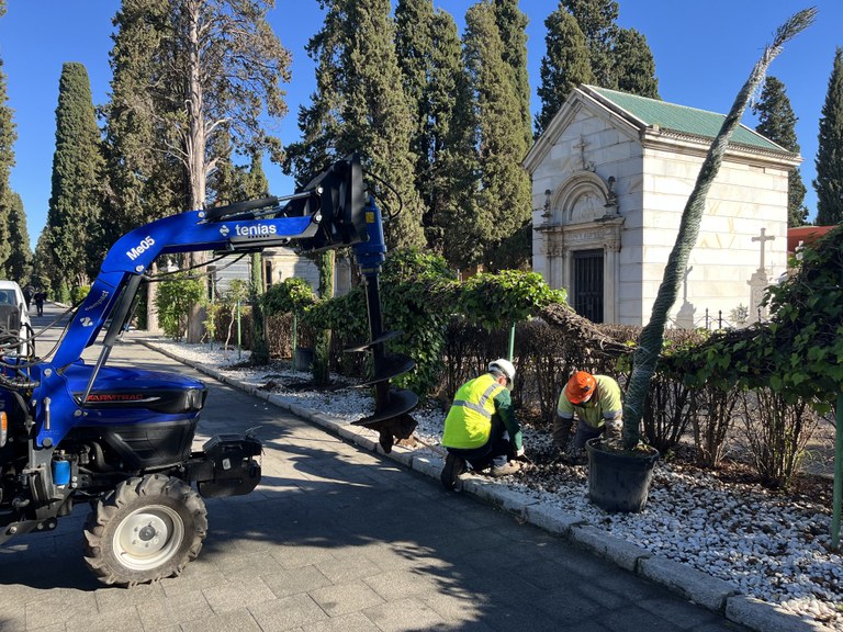 El Ayuntamiento impulsa 1300 nuevas plantaciones en el Distrito Norte ...